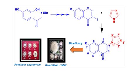 Synthesis And Antifungal Activity Of Novel Imidazole Derivatives Acs Agricultural Science