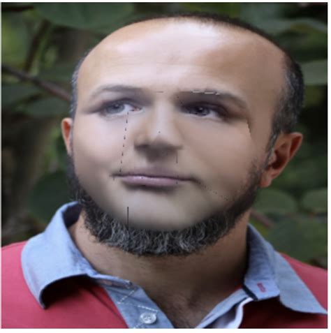 github tinzyl face swapping application