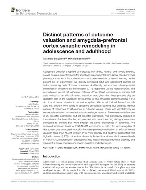 Pdf Distinct Patterns Of Outcome Valuation And Amygdala Prefrontal Cortex Synaptic Remodeling
