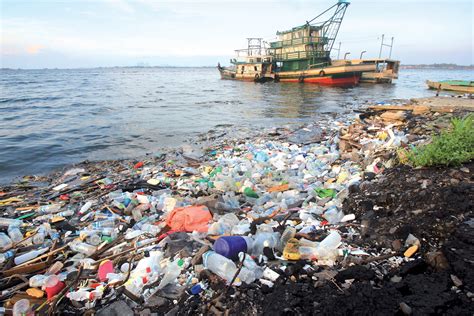 Microplastics In Our Oceans And Marine Health