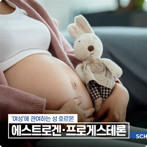 여성호르몬 에스트로겐 프로게스테론 역할 네이버 블로그