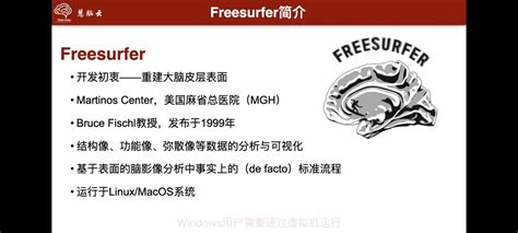 Fresurfer功能介绍freesurfer能处理cta数据吗 Csdn博客