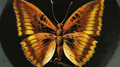 Показываю как нарисовать эффектную Бабочку масляными красками Художник Лариса Гончарова Youtube