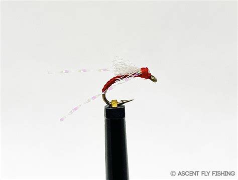 Tailwater Assassin — Ascent Fly Fishing