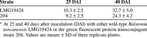 Number Of Nodules Formed On Mimosa Pudica A Download Table