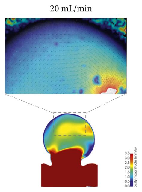 Particle Image Velocimetry Piv Analysis And 3d Computational Flow Download Scientific Diagram