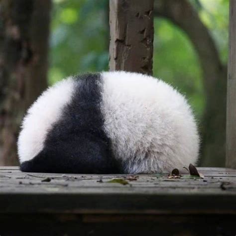 数据预处理——标准化归一化（实例） 知乎