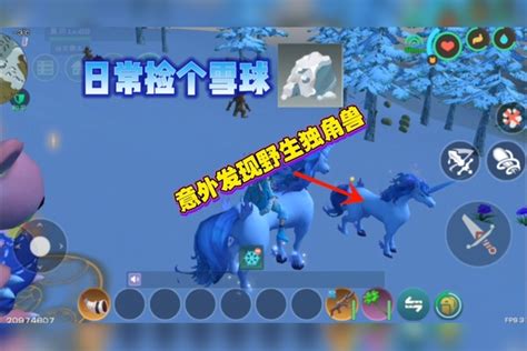 创造与魔法 星川解说：创造与魔法日常肝雪球意外发现野生独角兽出了必须出了