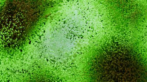 3d Render Of Abstract Art Video Animation With Flow Spheres Stock Video Video Of Splash