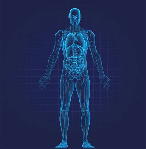 Thoracic Trigger Point Foundation Pain Spine