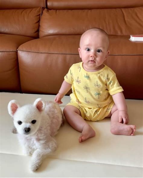 사유리 아들 젠 폭풍 성장…혼자서도 잘 앉아 파이낸셜뉴스