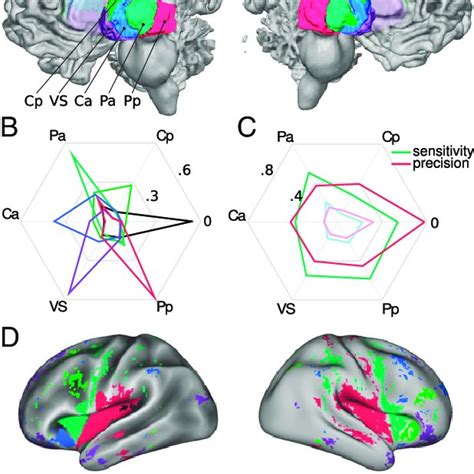 A Cluster Analysis K Means K 5 Of Corticostriatal Coactivation