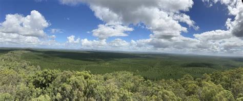 Exci On Linkedin For A Safer Future Exci Ai Wildfire Detection And Sustainable Forestry