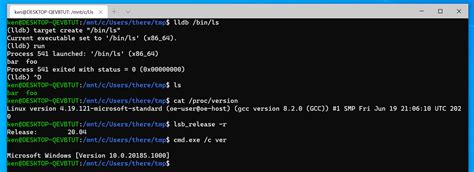Lldb Cant Launch Process · Issue 2028 · Microsoftwsl · Github