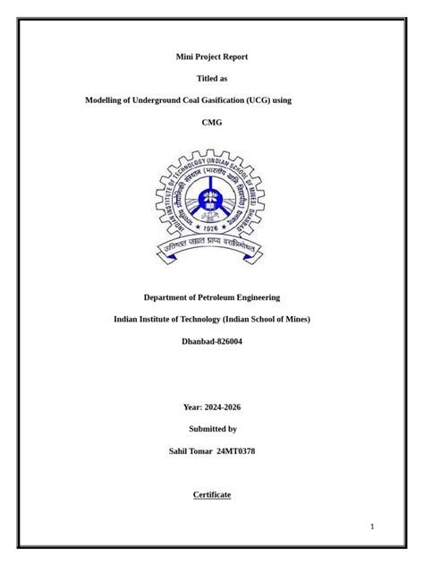 Sahil Mini Project Pdf Coal Gasification