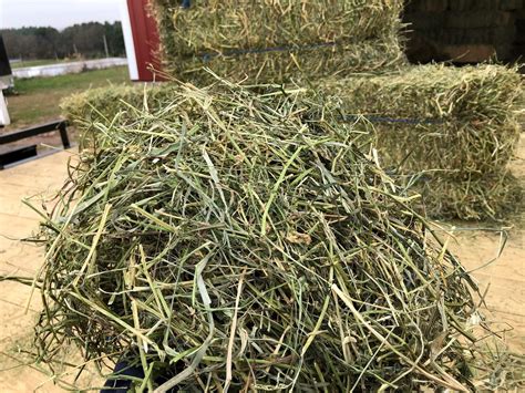 2 String Orchardalfalfa Pleasant View Farms Inc