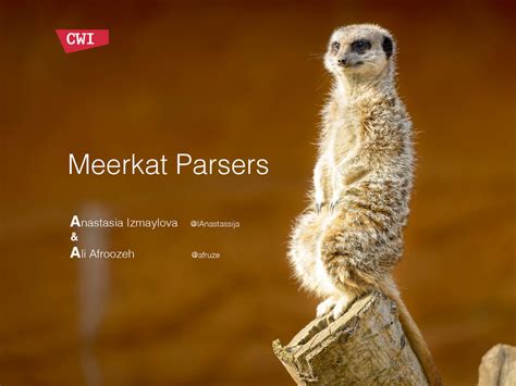Meerkat Parsers A General Parser Combinator Library For Real