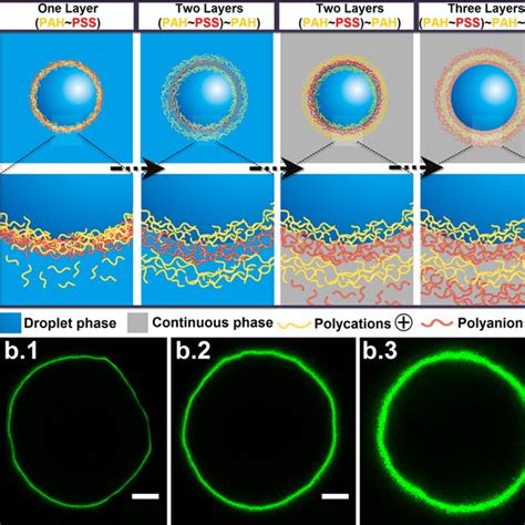 A Schematics Of The Fabrication Process Of Polyelectrolyte Download Scientific Diagram