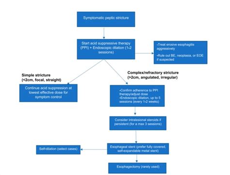 Dr Gastro Manejo De Estenosis Péptica Una Revisión Facebook