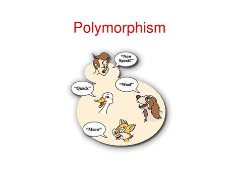 Polymorphism In Go In Go Polymorphism Is Achieved Through By David