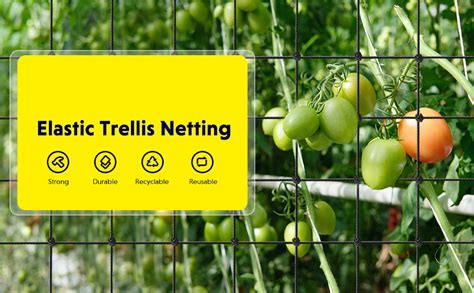 Simple Deluxe Elastic Trellis Netting For 4x4 Heavy Duty Elastic Plant With Hooks Simple Deluxe Elastic Trellis Netting For 4x4 Heavy Duty Elastic Plant With Hooks