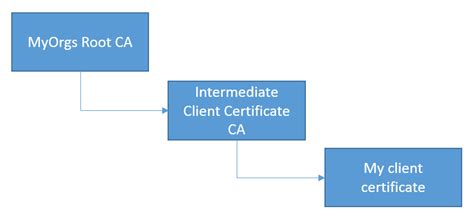 Soapui 2 Way Ssl Problem Using Pkcs12
