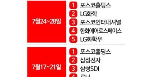 증시 변동성 확대 진원지 이차전지주 쏠림현상 완화