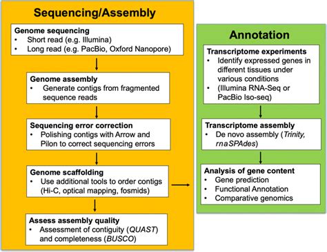 Human Genome Project Sequencing