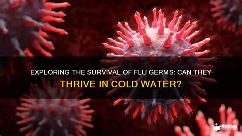 Exploring The Survival Of Flu Germs Can They Thrive In Cold Water