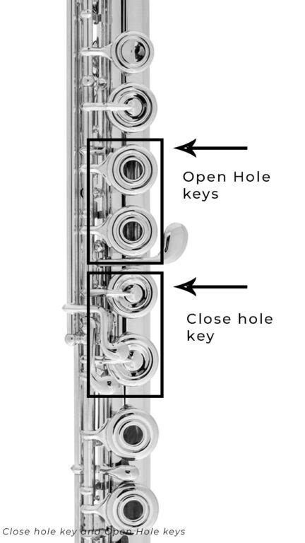 The Parts Of A Flute Flute Anatomy Phamox Music