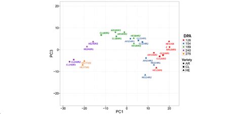 Principal Components Analysis Pca Based On The Rna Seq Expression Download Scientific Diagram