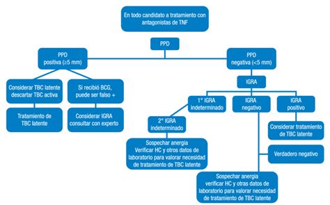 Algoritmo PPD IGRA Adaptado De La J Of Rheumatology 2011 7 1234 Download Scientific Diagram