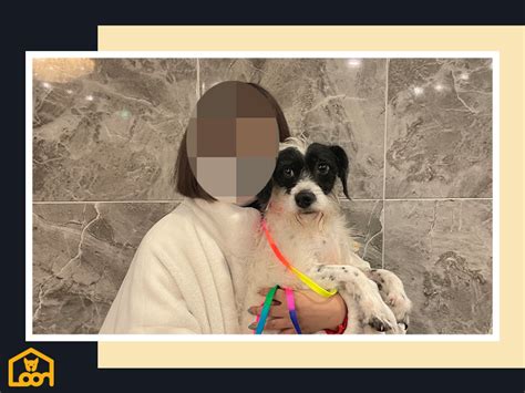 믹스견 웅이 책임분양 코리안숏헤어 비숑프리제분양 치와와분양 고양이보호소 광주유기견보호센터 광주광역시유기견보호센터 유기견보호센터봉사 리트리버분양 빅토리아펫보호소 입양완료