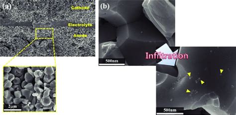 A Cross Sectional Sem Micrographs Of Fabricated Anode Supported Sofc Download Scientific