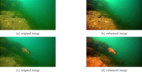 Figure 2 From Image Enhanced Yolov5 And Deep Sort Underwater Multi Moving Target Tracking Method