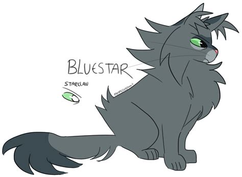 Warrior Cats Bluestars Kits