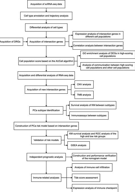 Figure 1 From Integrating Single Cell Rna Sequencing And Bulk Rna