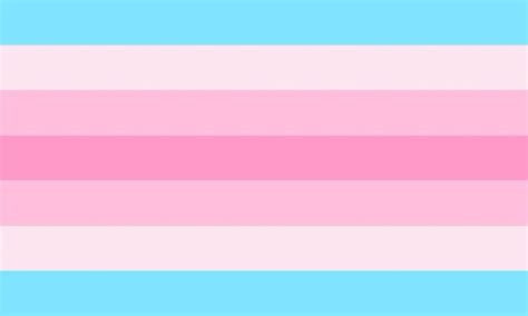 Transfem Flag Because I Couldnt Find It Anywhere 😭 In 2024 Pride
