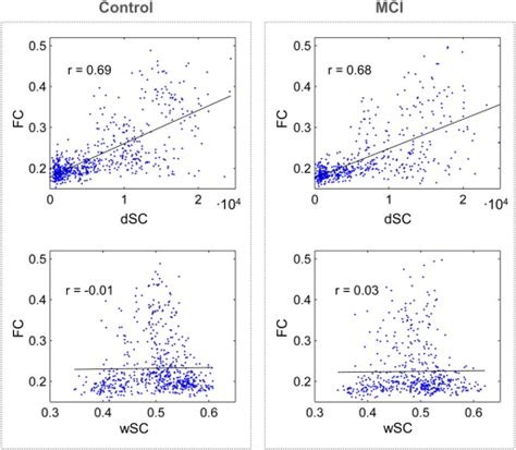 Relation Between Structural And Functional Connectivity Functional