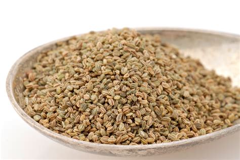 Celery Seed Vs Celery Salt How Do They Compare