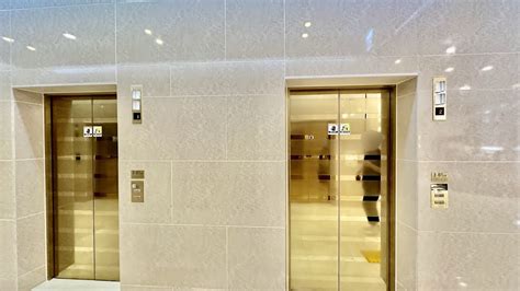 2010 Ssvf7 구동음 심각 광주광역시 서구 치평동 홀리데이 인 광주호텔 현대엘리베이터 셔틀구간 탑사기 지발 좀