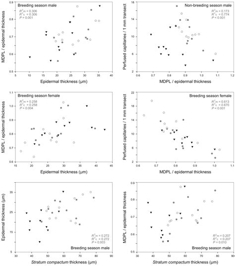 Correlations Between The Extent Of Capillaries Penetrating The Download Scientific Diagram