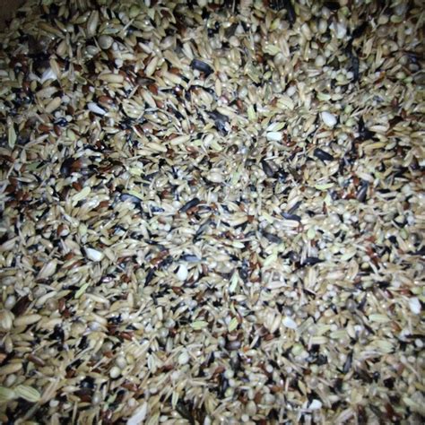 Храна за Диви Птици Храна препарати Бургас