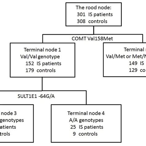 Classification And Regression Tree Analysis Of Polymorphisms Of Download Scientific Diagram