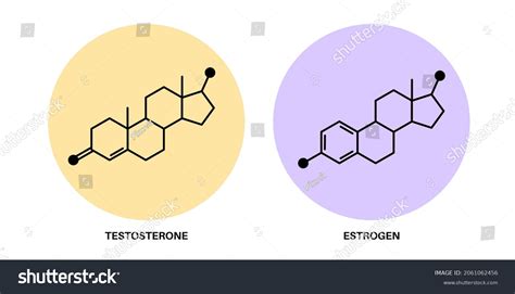 Testosterone Estrogen Chemical Formula Logo Icon Stock Vector Royalty