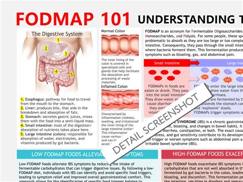 Fodmap 101 Understanding Fodmap Ibs Digital Download Irritable Bowel Syndrome Ibs Colour