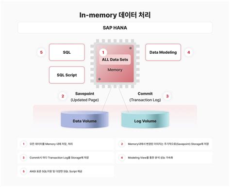 데이터웍스 Sap Hana