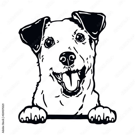 Jack Russell Terrier Funny Dog Vector File Cut Stencil For Tshirt