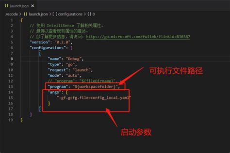 Vs Code配置golang开发环境 知乎