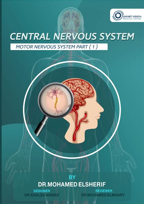 Solution Physio Motor Part1 Explanation With Pictures Faculty Of Medicine Presentation
